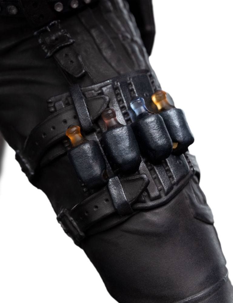 The Witcher Figures of Fandom PVC Statue Geralt of Rivia 24cm – Hobby ...