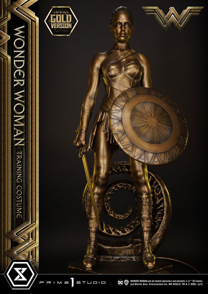 Wonder Woman Statue Wonder Woman Training Costume – Hobby Figures