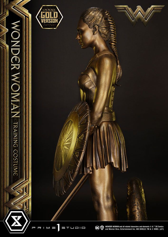 Wonder Woman Statue Wonder Woman Training Costume – Hobby Figures